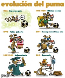 Evolución del puma - Futbol Sapiens