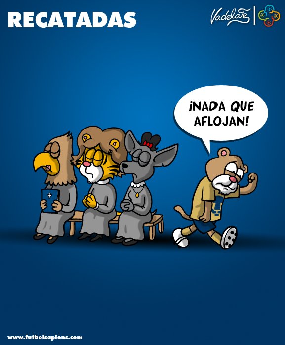 Recatadas - Futbol Sapiens