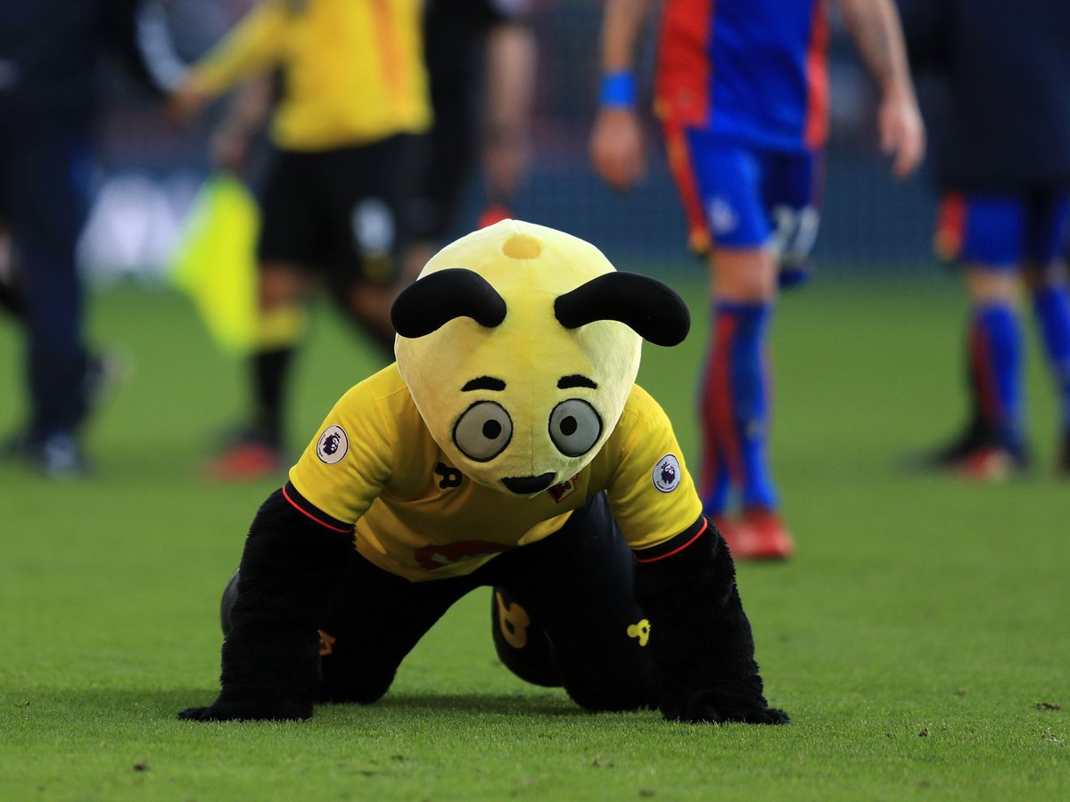 Lo cómico del Boxing Day | Harry the Hornet fastidia a Wilfried Zaha
