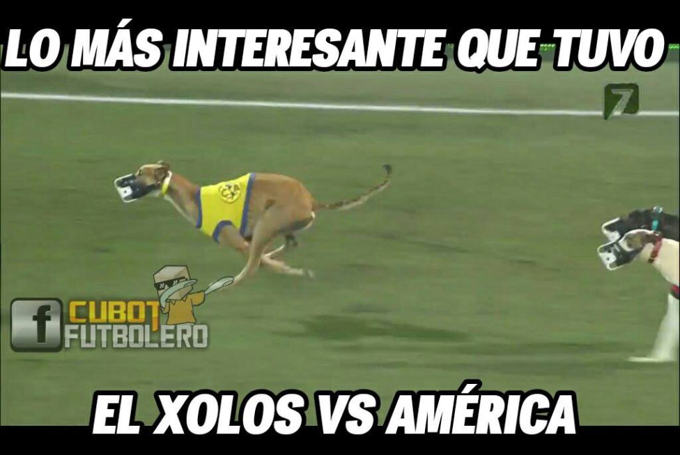 Estos son los mejores memes del Tijuana vs América