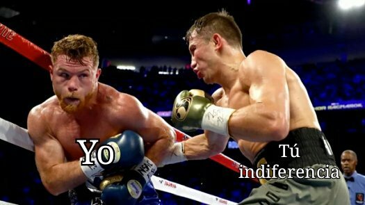 Canelo venció a a Golovkin y los memes no se hicieron esperar