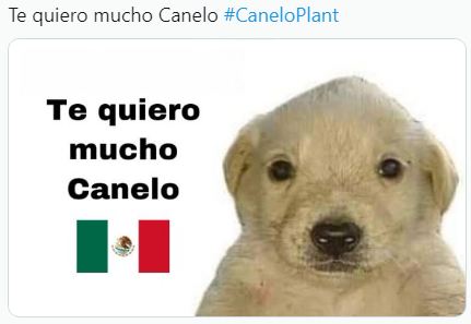 Estos son los mejores memes de la pelea entre el Canelo y Plant ...