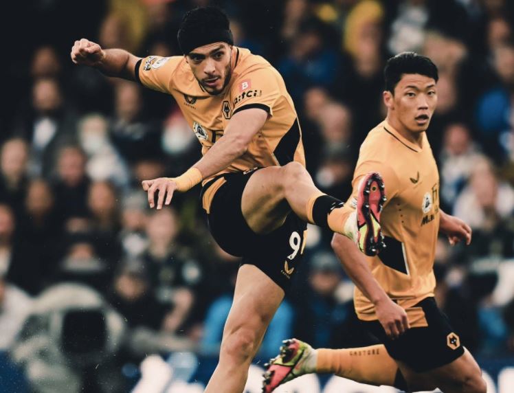 Wolverhampton eliminó el lobo de su escudo: esta es la razón - Futbol ...