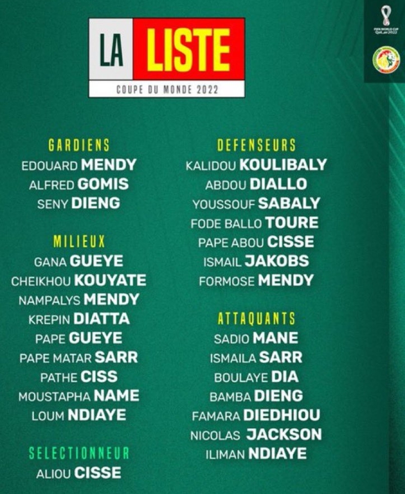 Senegal, Camerún y Japón sorprenden con sus convocados al Mundial