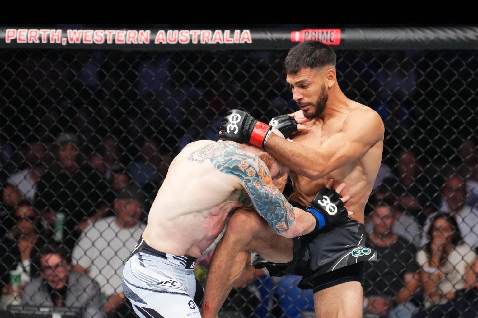 "Pantera" Rodríguez se convirtió en campeón interino en el UFC - Futbol ...