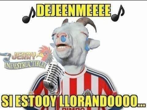 Los Mejores Memes Que Dejó El Campeonato De Tigres Sobre Chivas