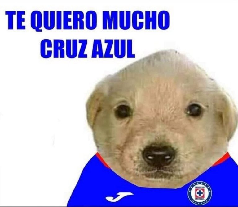 ¡De fiesta! Cruz Azul está en la gran final y estos son los mejores ...